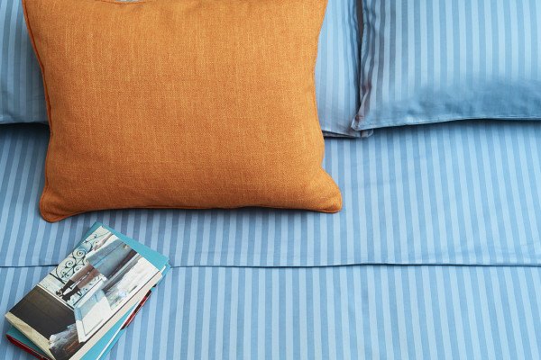 How to get Rid of Lice in Bedding | Cleanipedia