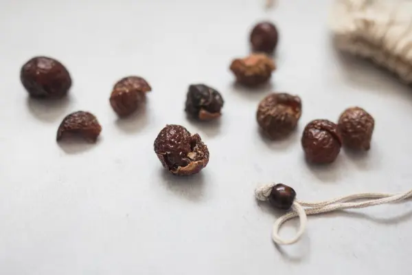 How to use soap nuts to get your laundry naturally clean | Cleanipedia