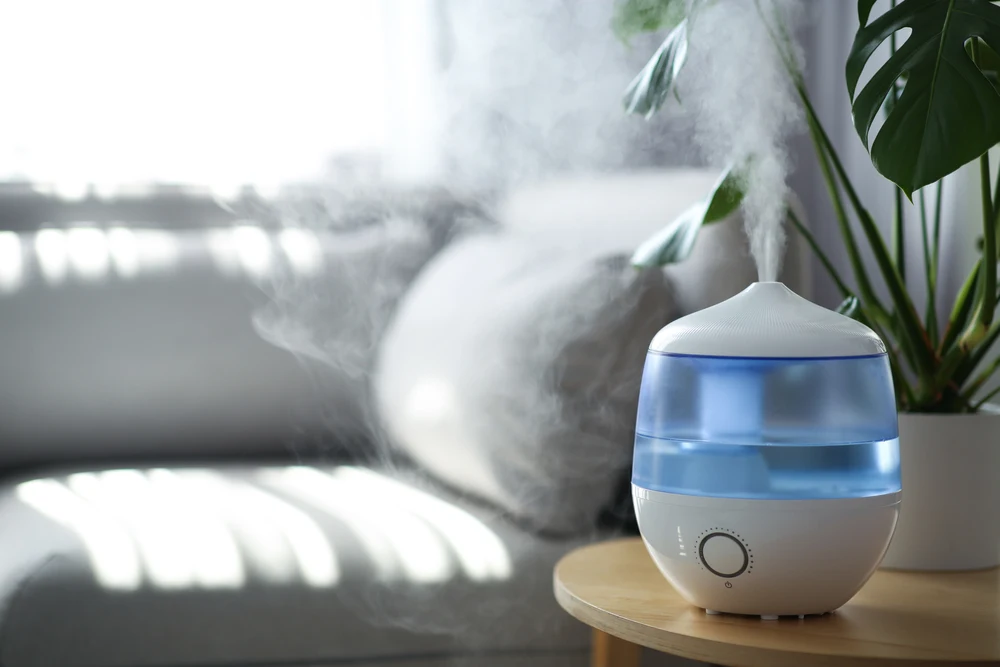 Cara Mengoperasikan Humidifier untuk Ruangan Non AC | Cleanipedia