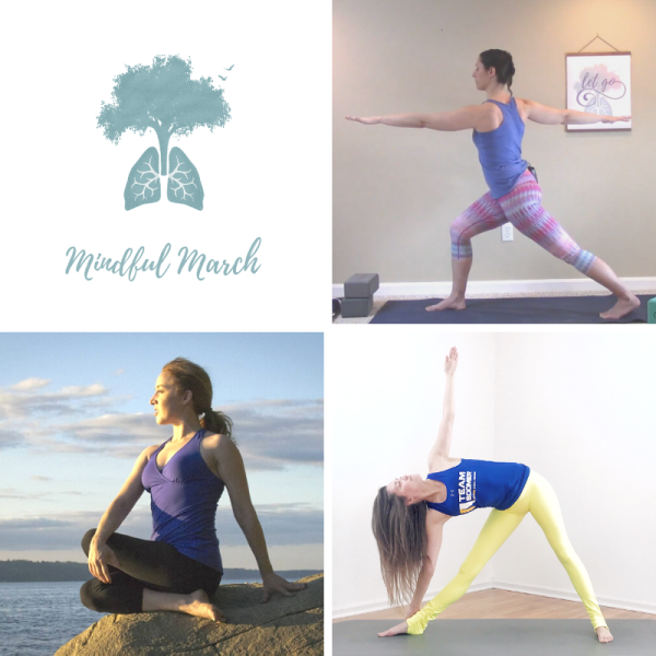 20 Bài tập yoga tại nhà theo trường phái cổ điển và hiện đại | Cleanipedia