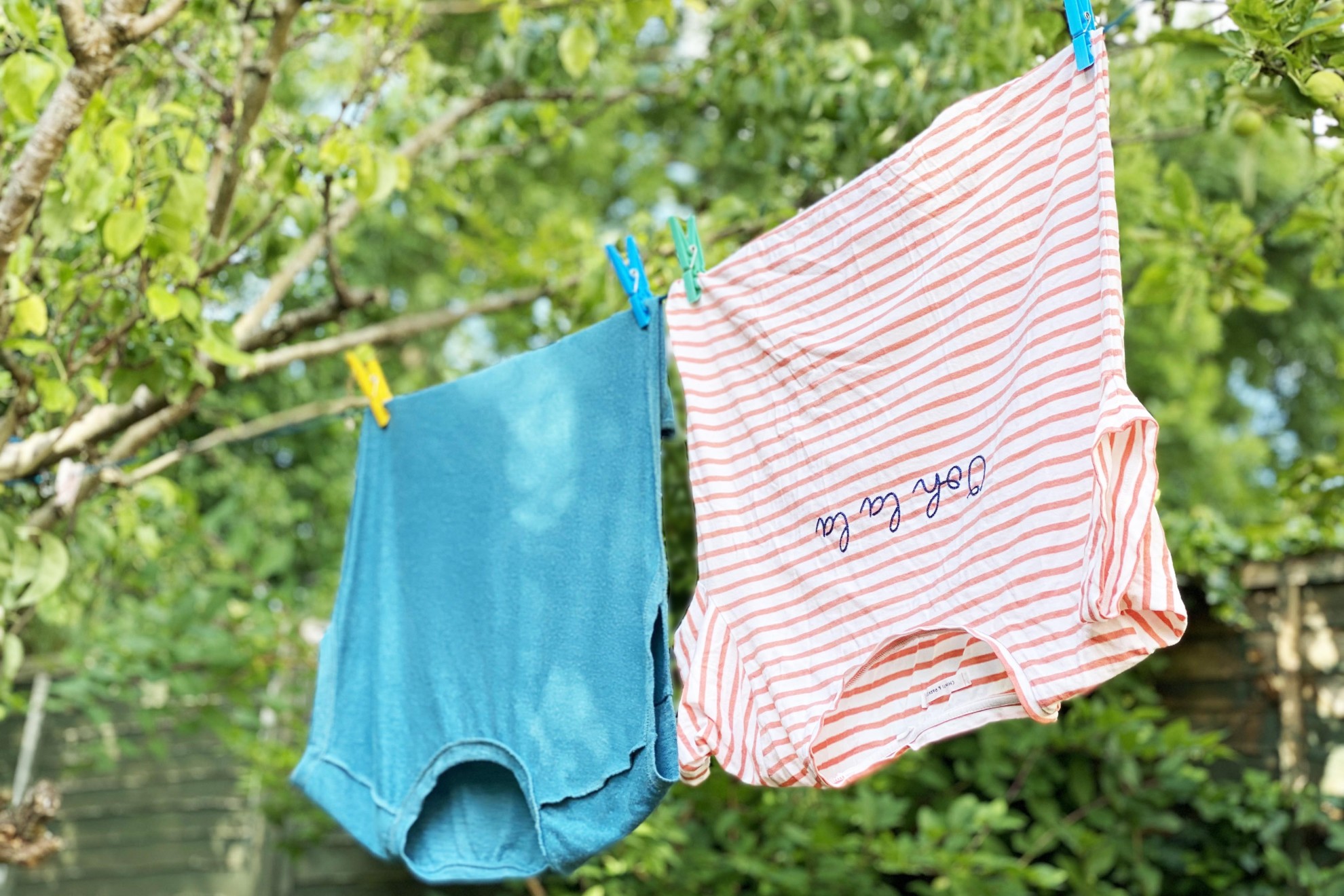 Cómo sacar el olor a humedad de la ropa - Ver trucos | Cleanipedia