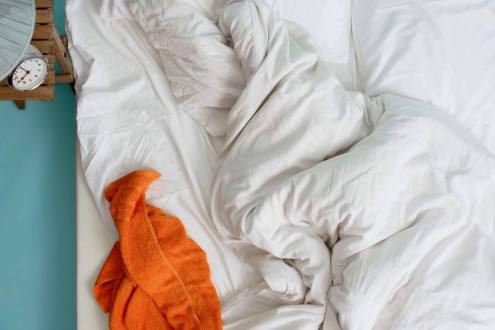 Milben im Bett erkennen & bekämpfen | Milbenspray | Cleanipedia